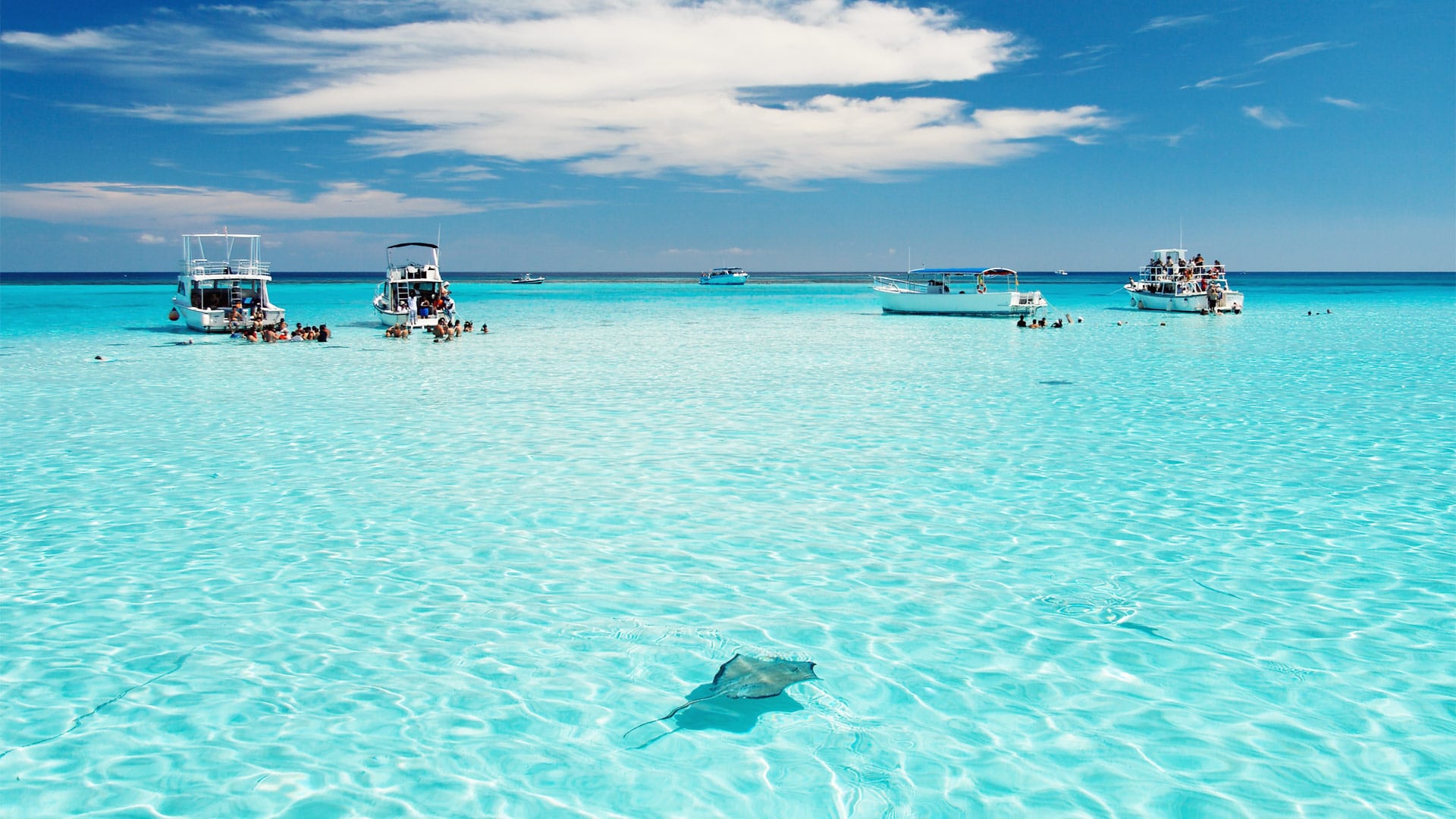 Top 5 Things To Do On Anna Maria Island - Galati Yachts