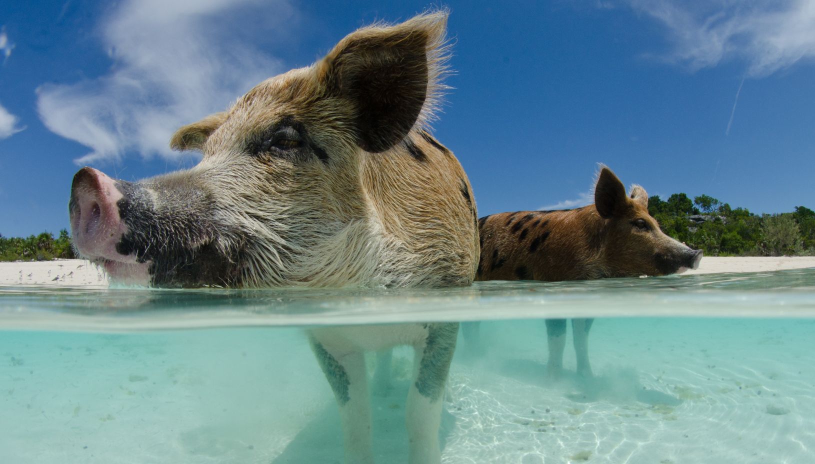 Spring Boating Destinations for Families - Galati Yachts